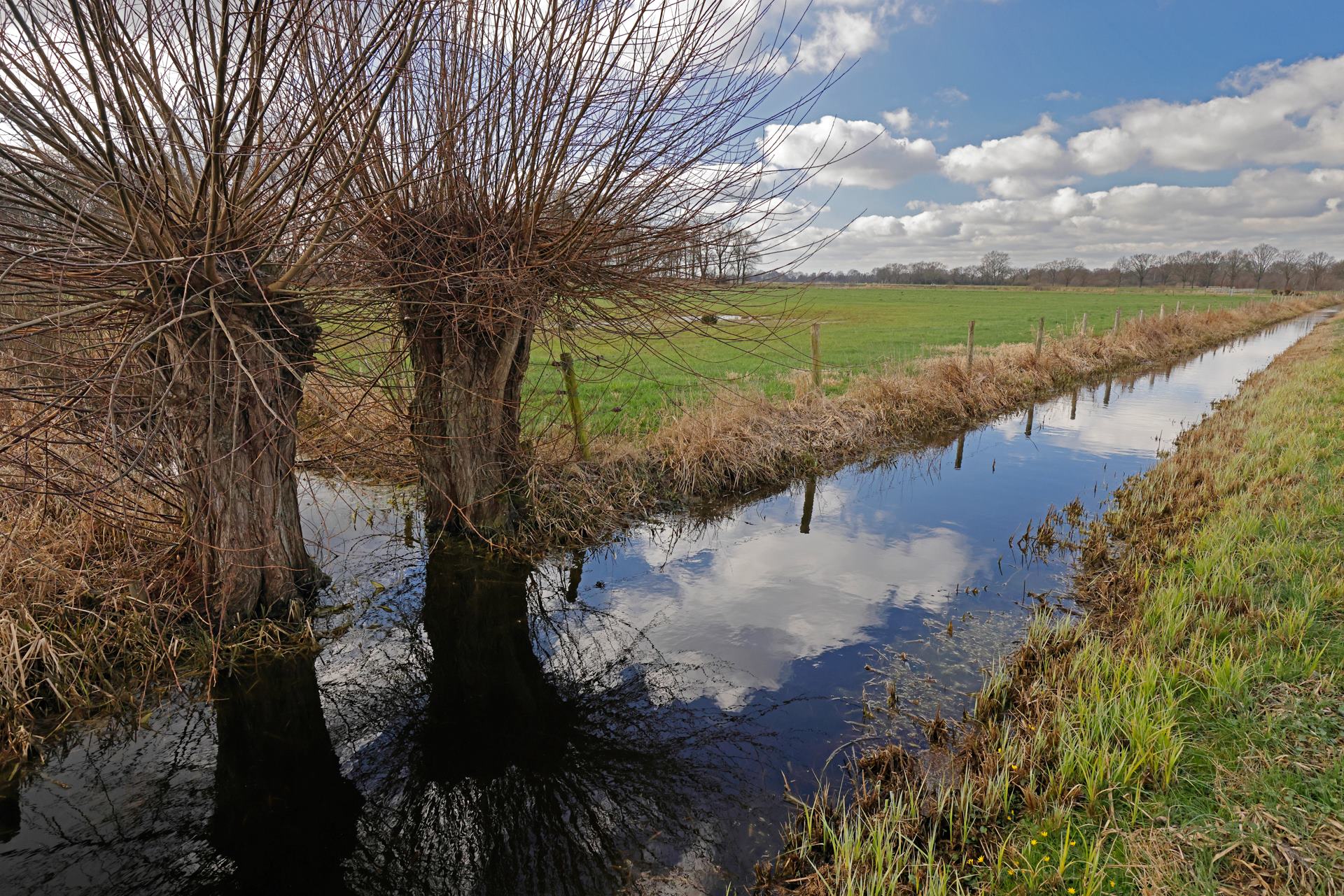 Verbeteren chemische waterkwaliteit - BIJ12