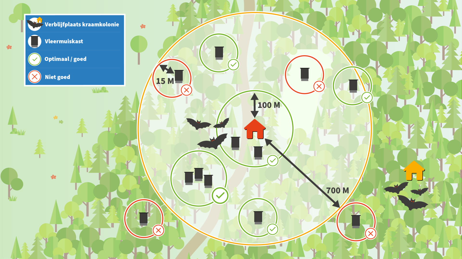 Kennisdocument Gewone grootoorvleermuis - BIJ12