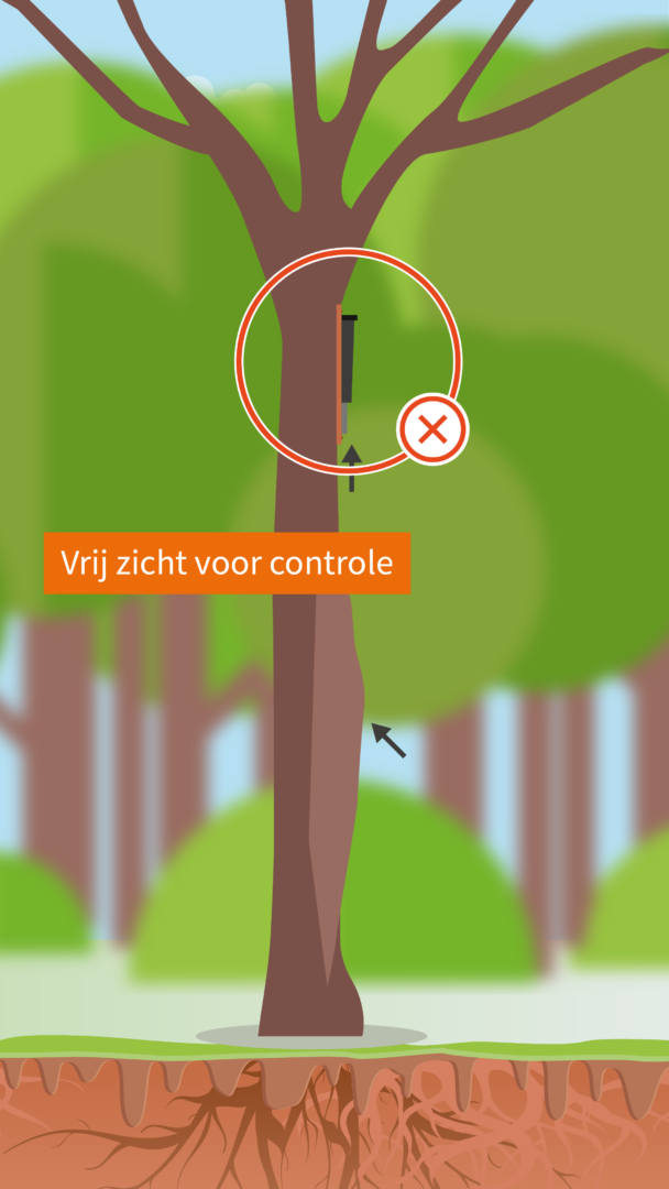 Kennisdocument Gewone grootoorvleermuis - BIJ12